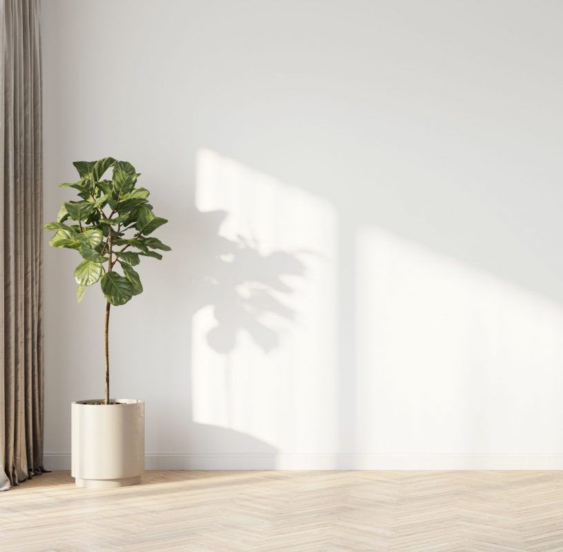 Temporary Surface Protection - Ultimate Solutions