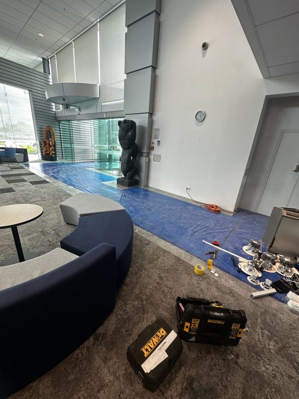 Polyweave Carpet Protection – Blue/White – Ultimate Solutions